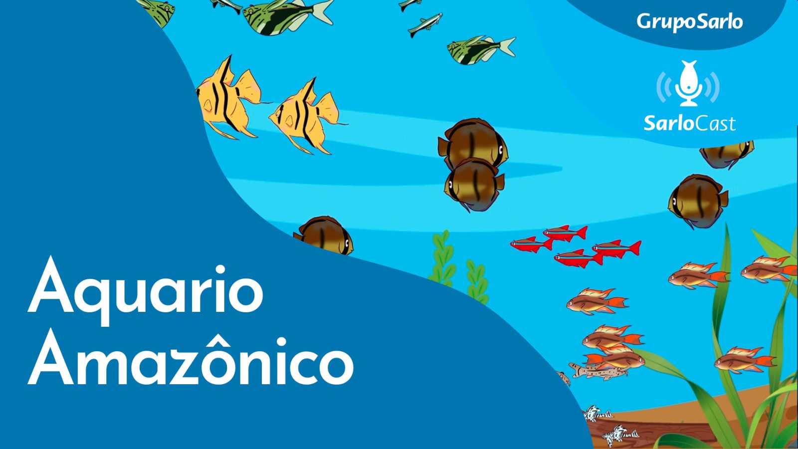 Sarlocast #45 - Aquário Amazônico - Grupo Sarlo